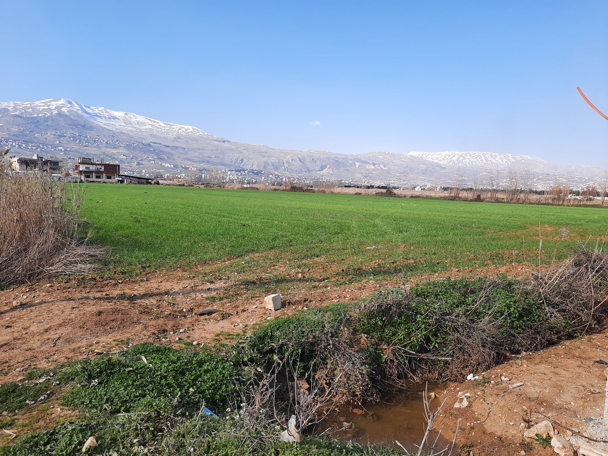 Horizons International buys farmland in Lebanon - Mission Network News