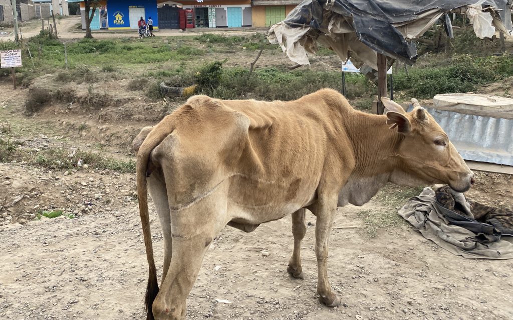 Kenya approaches famine status as drought intensifies - Mission Network ...